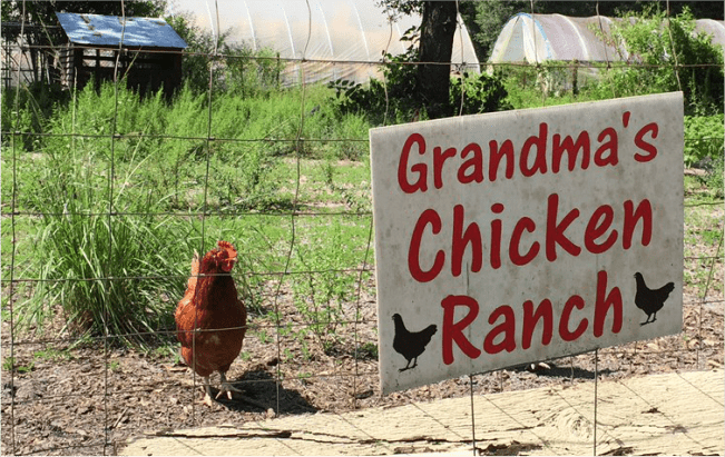 JG Ranch: Three Generations of Growing - NatureCoaster.com