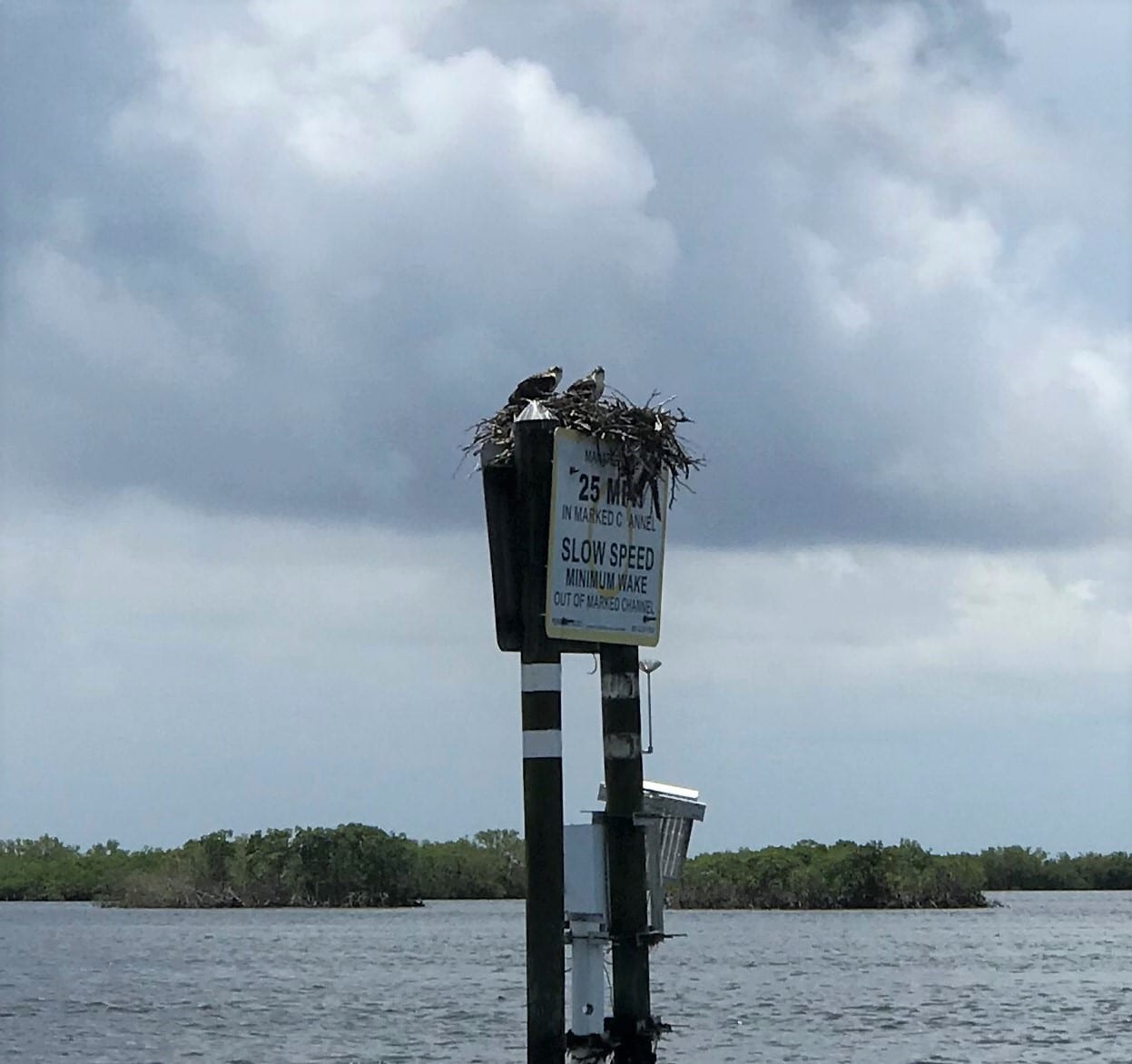 You need to Experience a Homosassa Shore Lunch - NatureCoaster.com