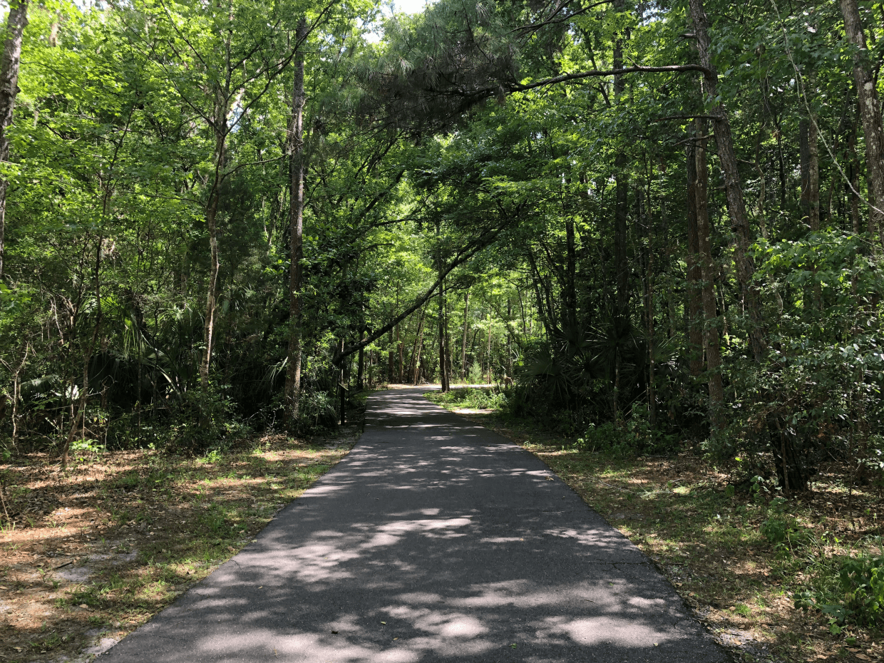 Hiking the Blue Run Historic Railway Trail - NatureCoaster.com