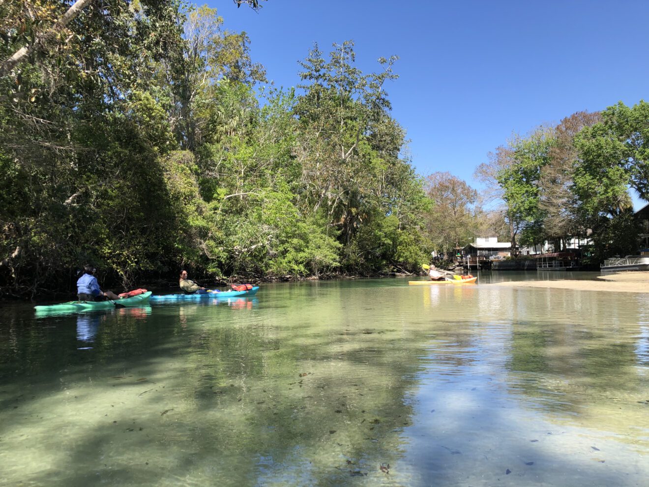 Shallow Waters-Deep Discoveries on the Weeki Wachee River ...