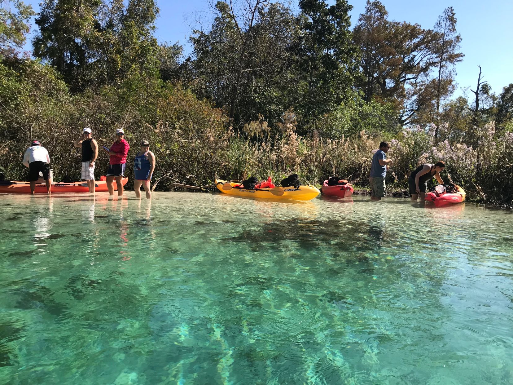 Shallow Waters-Deep Discoveries on the Weeki Wachee River ...