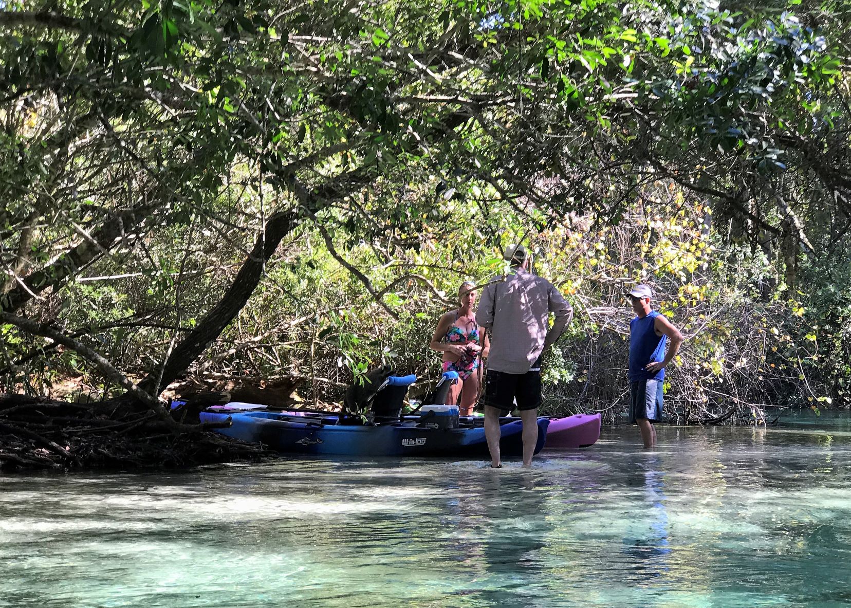 Shallow Waters-Deep Discoveries on the Weeki Wachee River ...