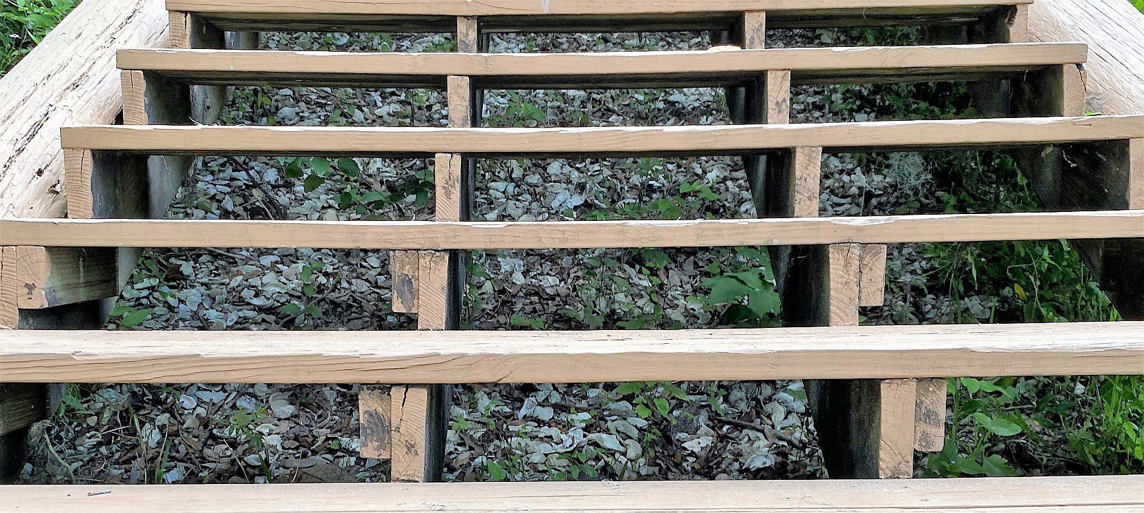 All about Captivating Crystal River - NatureCoaster.com