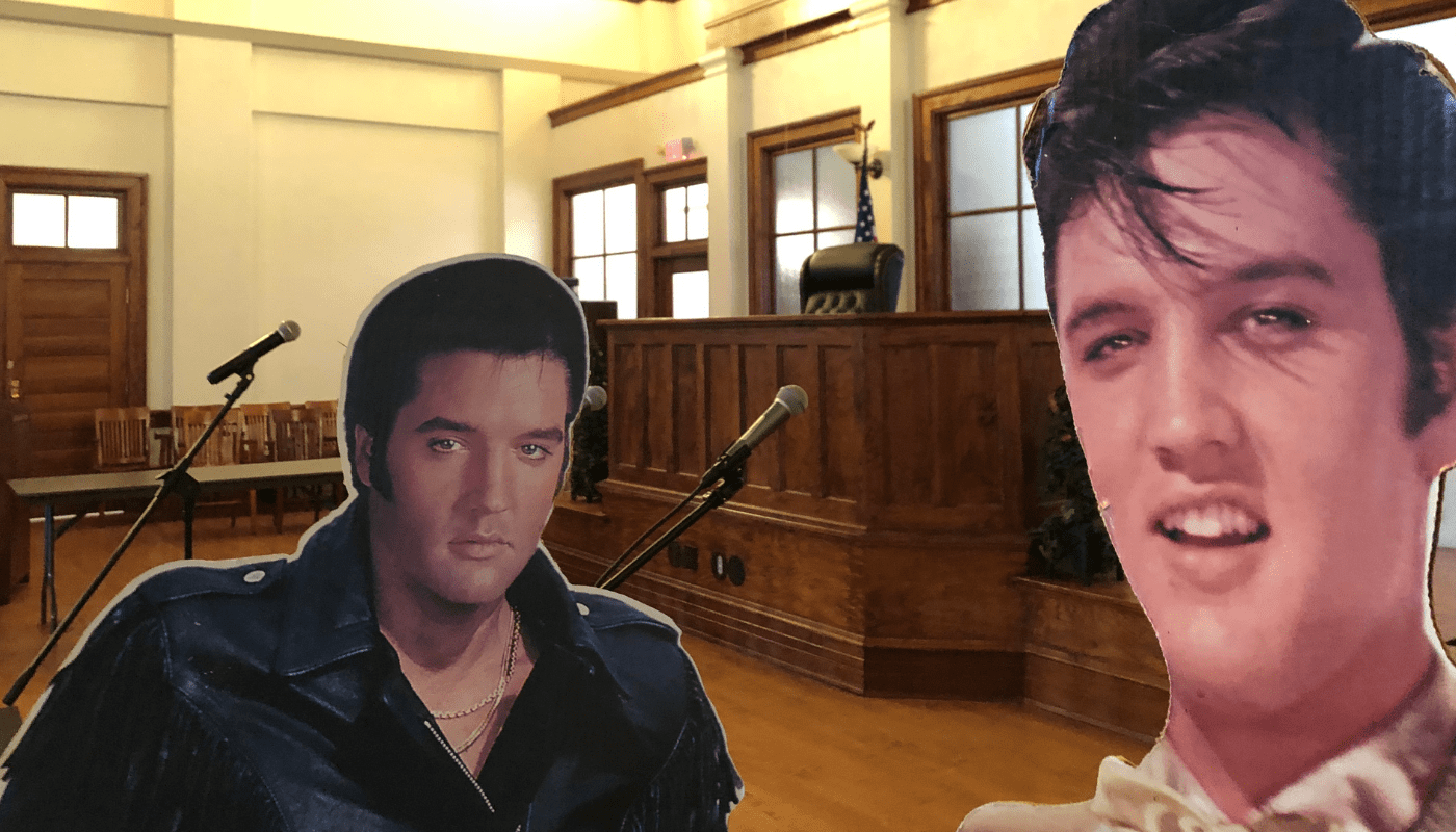 Chasing Elvis on Florida's Nature Coast - NatureCoaster.com