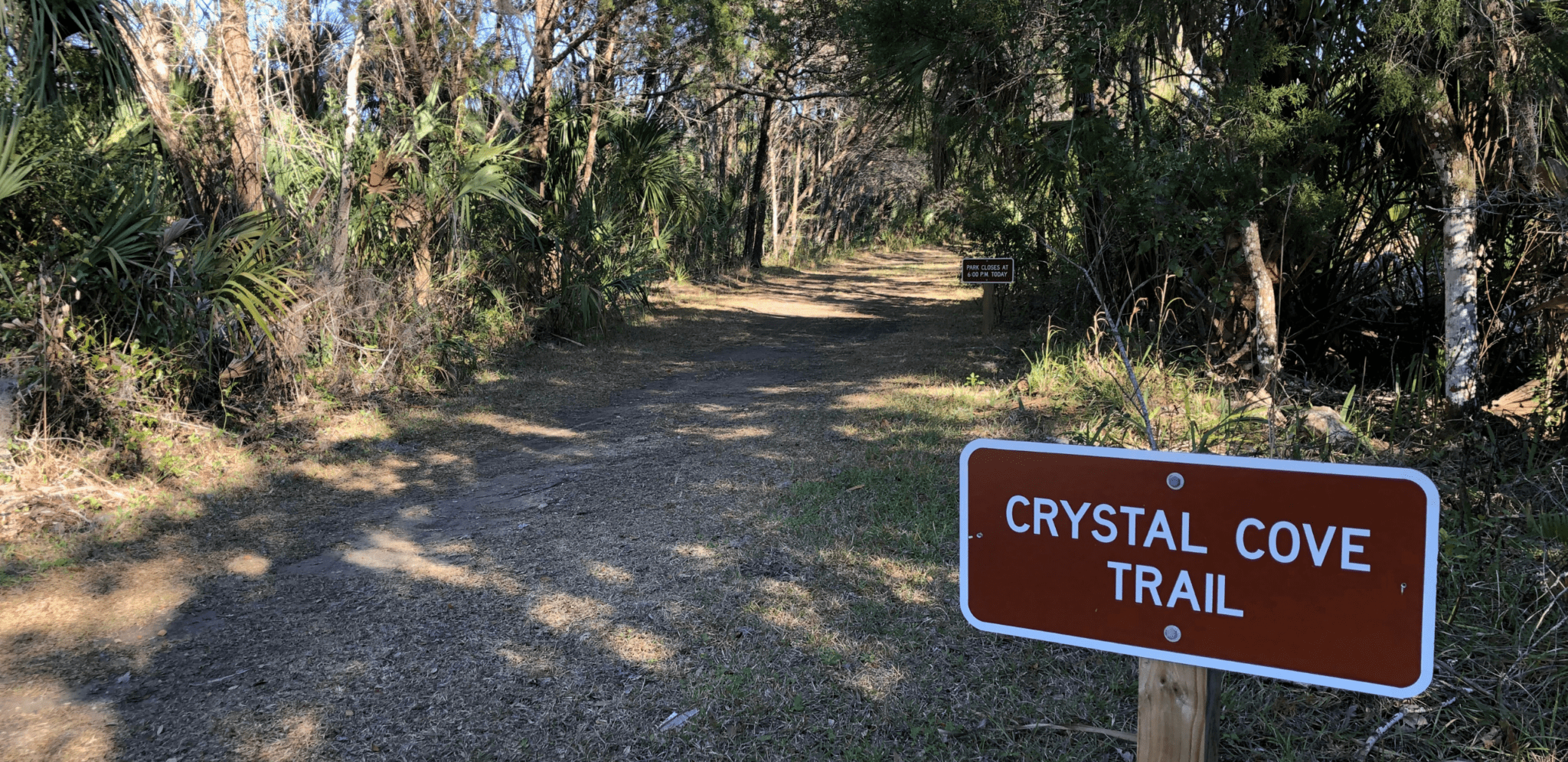 Hiking Crystal Cove Trail on Florida’s Nature Coast - NatureCoaster.com