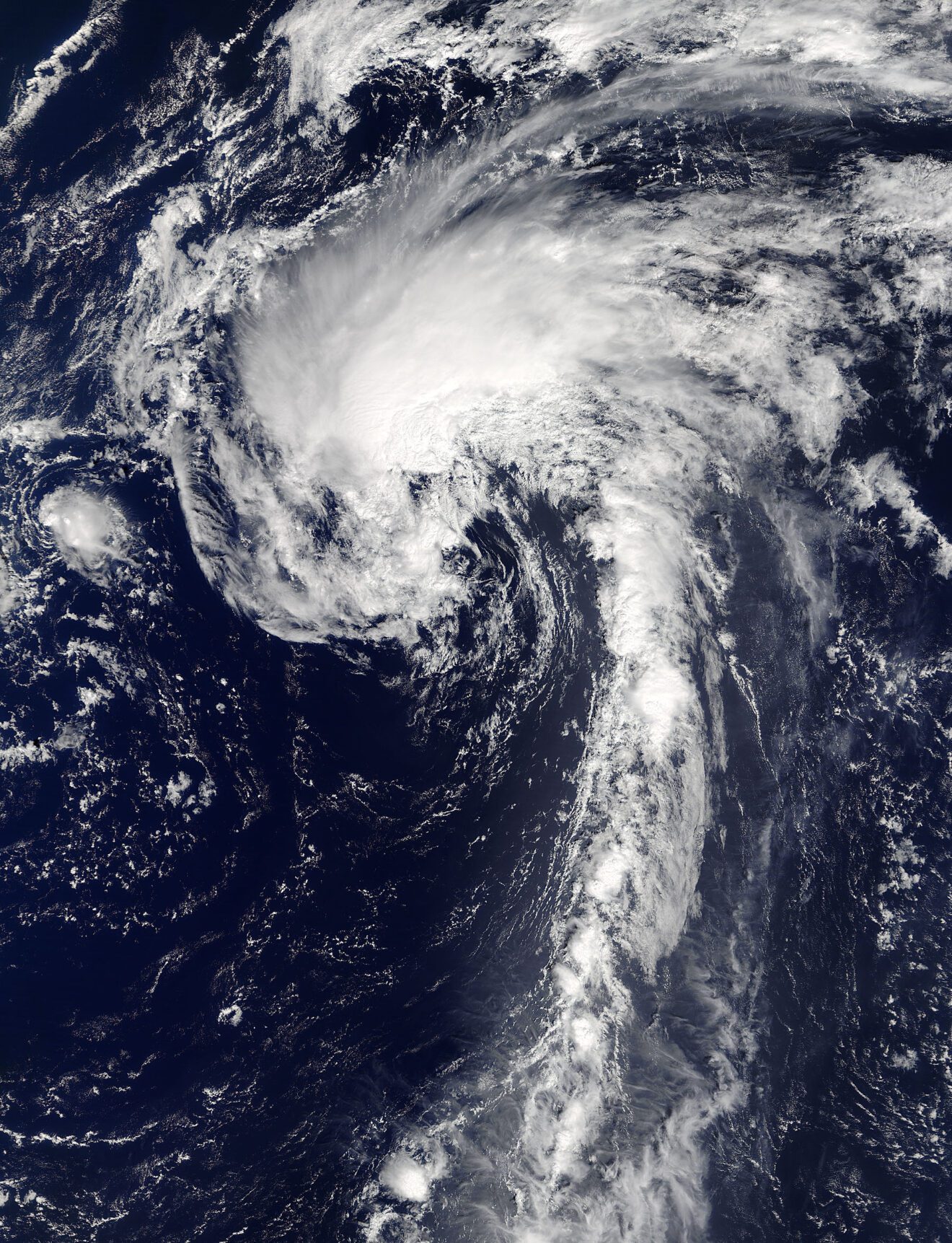 All SWFWMD Offices to Close - NatureCoaster.com