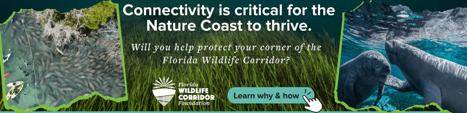 Metamorphosis at Crystal River National Wildlife Refuge - NatureCoaster.com