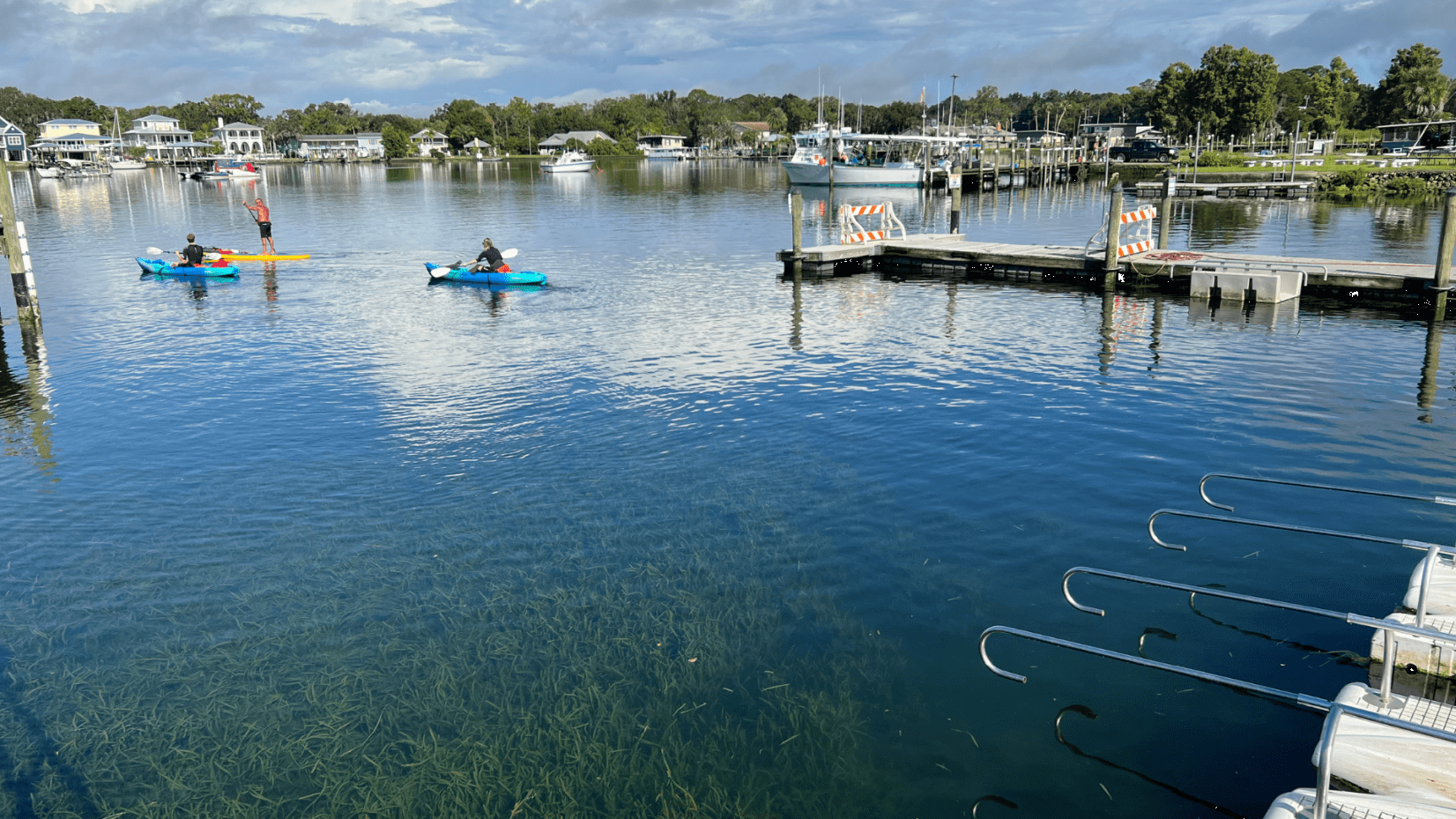 Exploring the King’s Bay Riverwalk in Crystal River - NatureCoaster.com