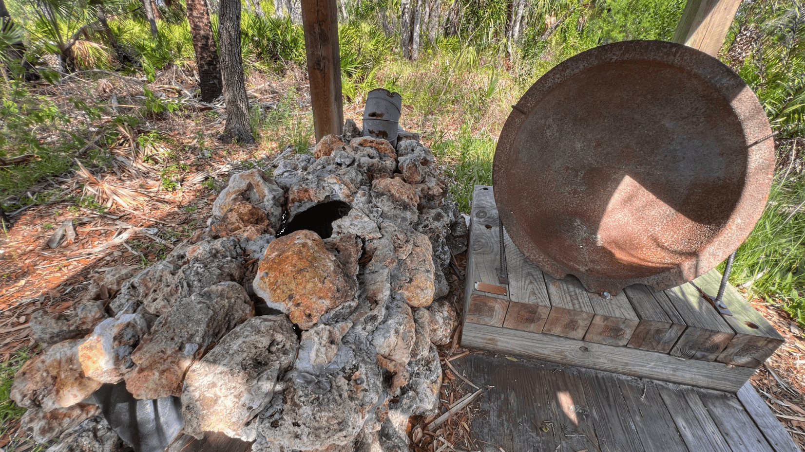 Hiking the Springs Trail at Werner Boyce Salt Springs - NatureCoaster.com