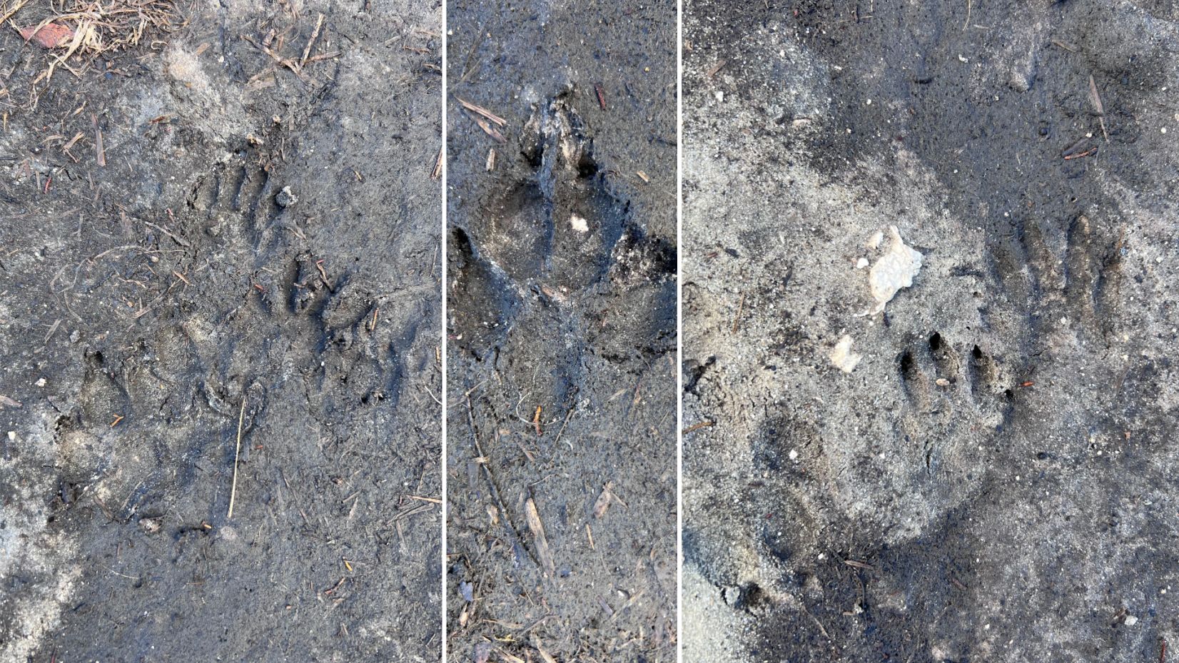 Escape the Holiday Hustle and Bustle with a Nature Break ...