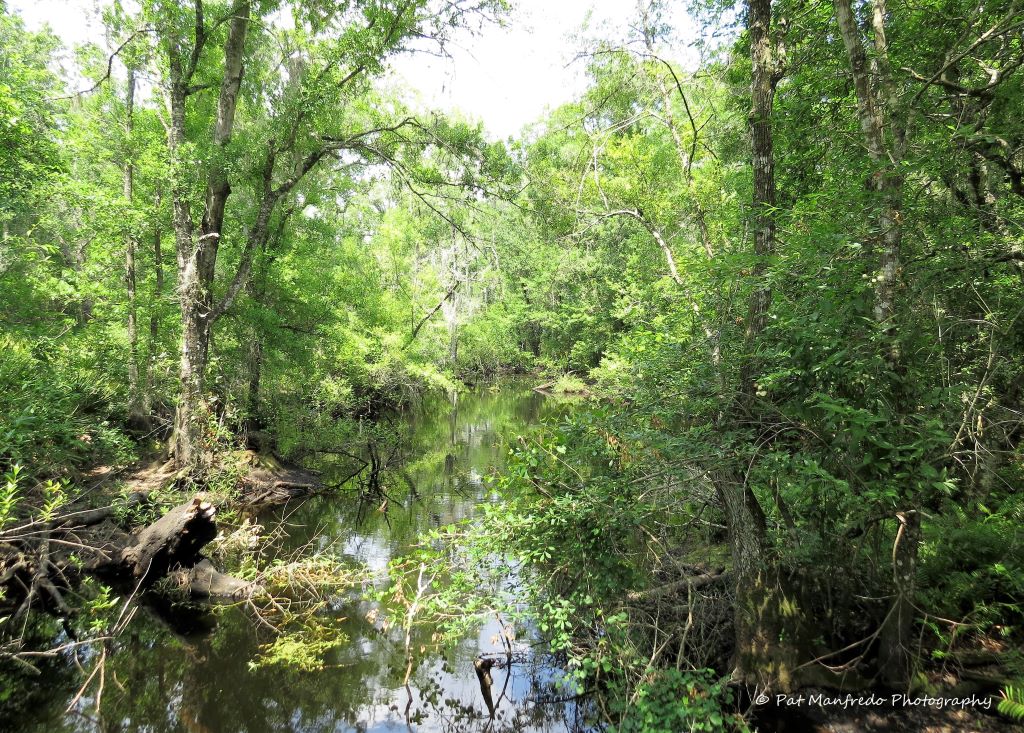 Developing Spring Hill: Spring Hill's Start & its Iconic ...